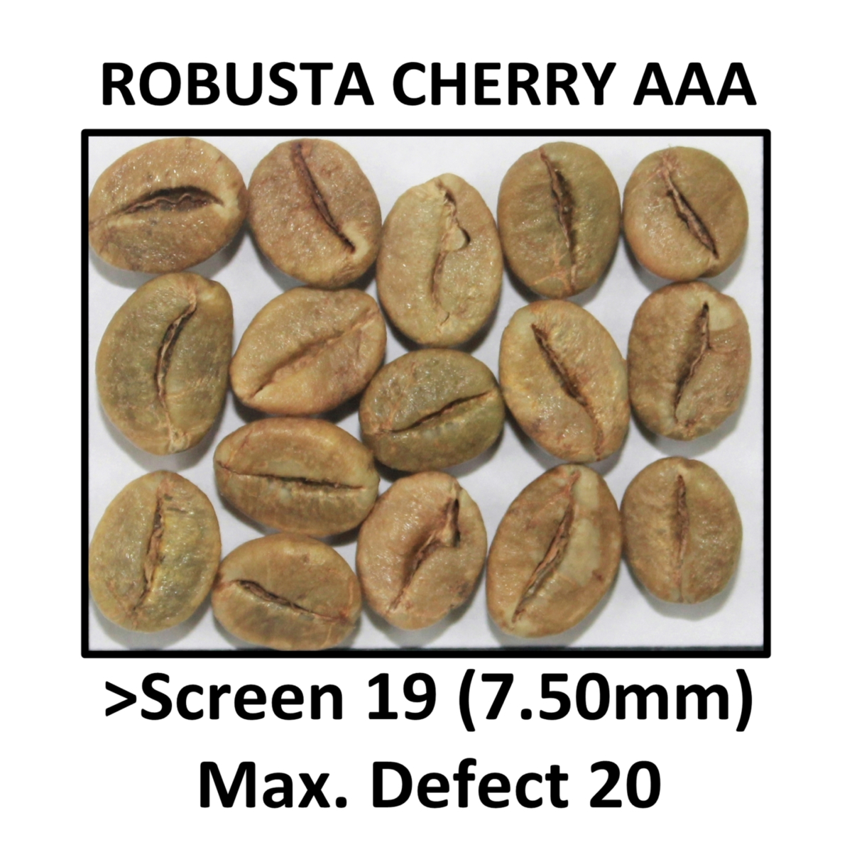 Our Coffees - NKG India Coffee Pvt. Ltd.